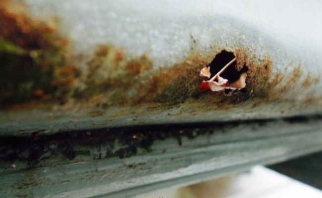 When Should Surrey Residents Install a New Gutter System ...