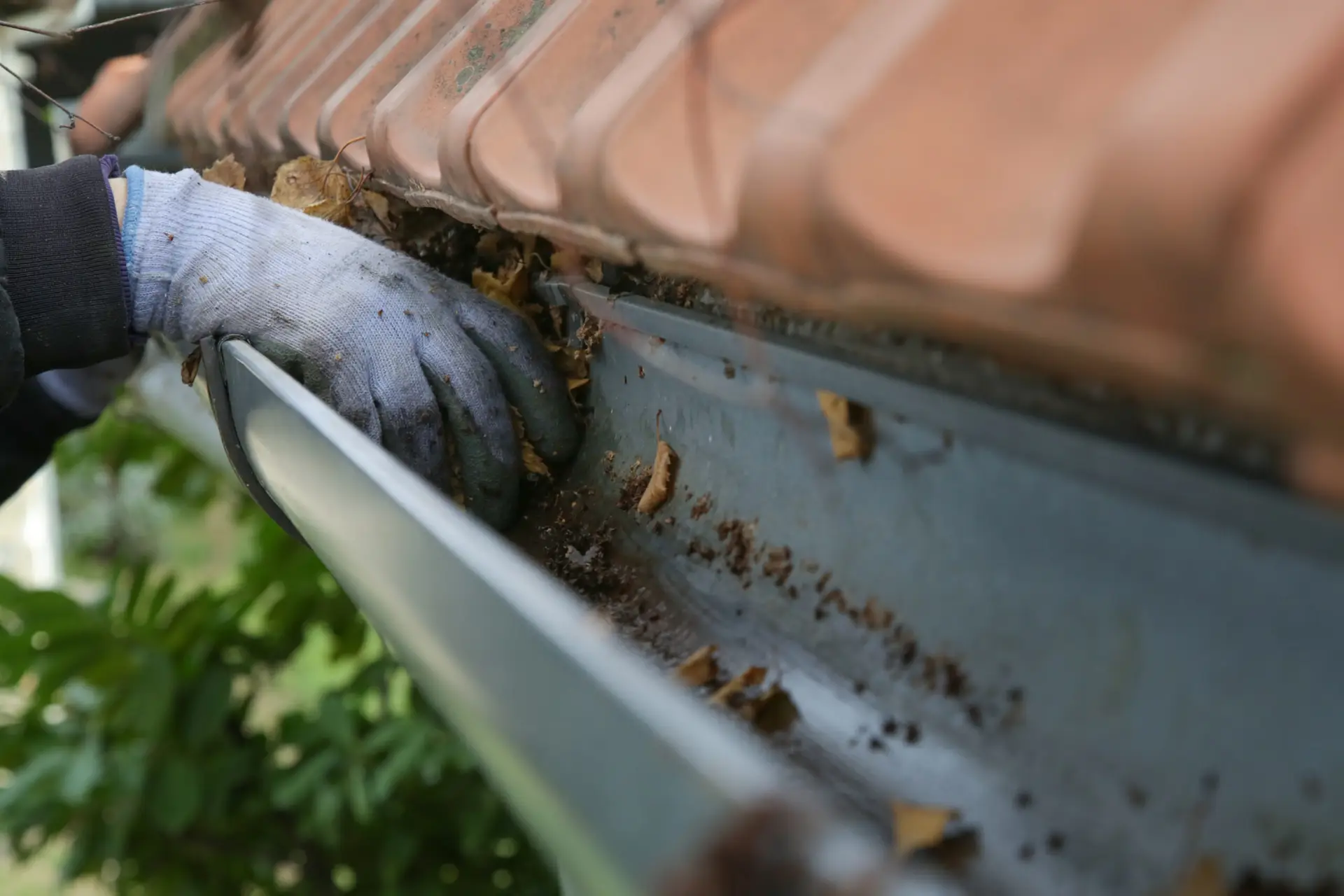 How Often Should You Clean Your Gutters? - Weatherguard Gutters